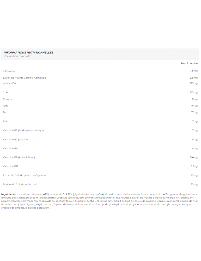 Mega Burner 90 caps Brûleur de graisse Biotech USA